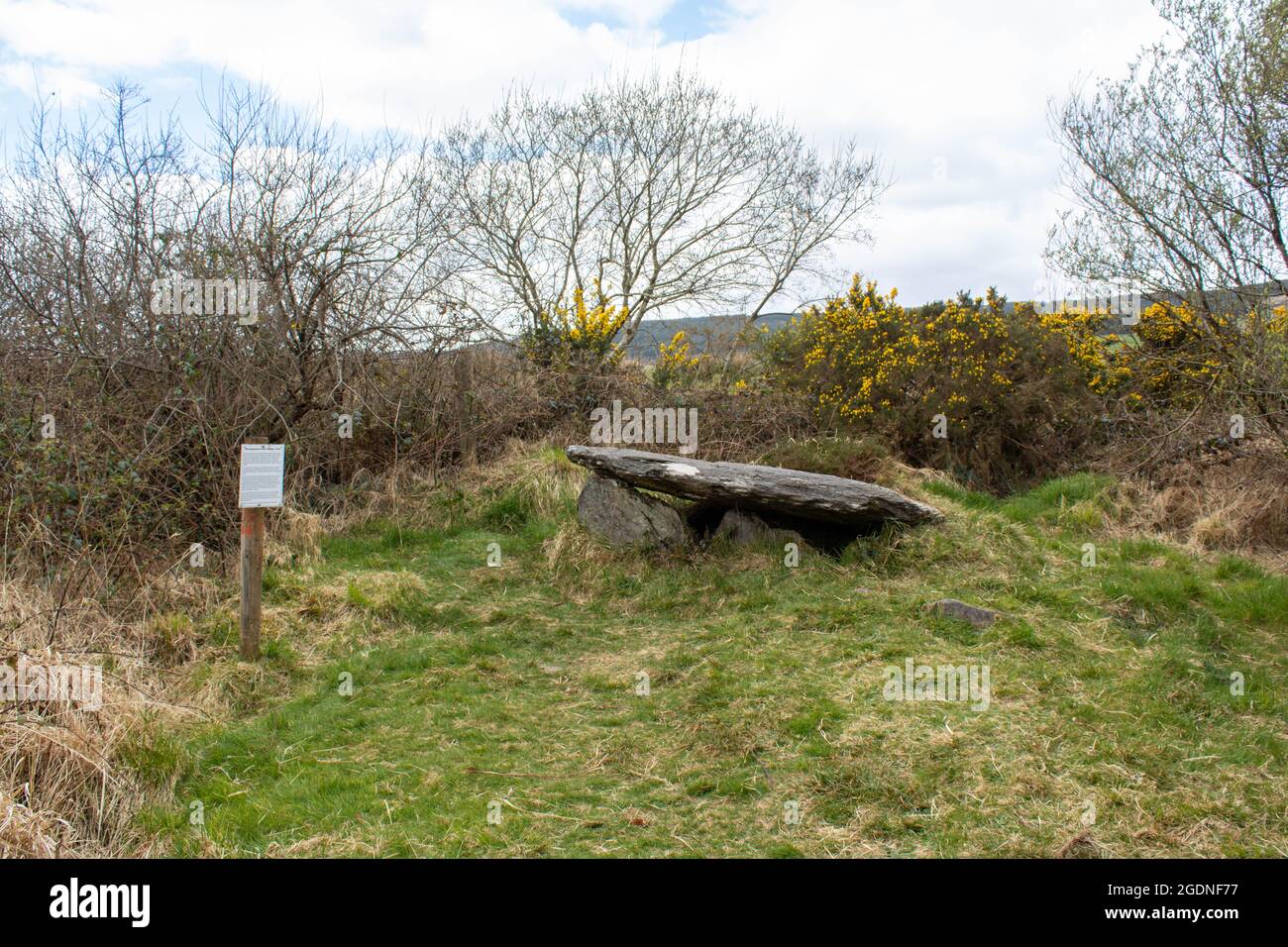Irish wedge tomb, stone age monuments found in Ireland. The bronze age ...