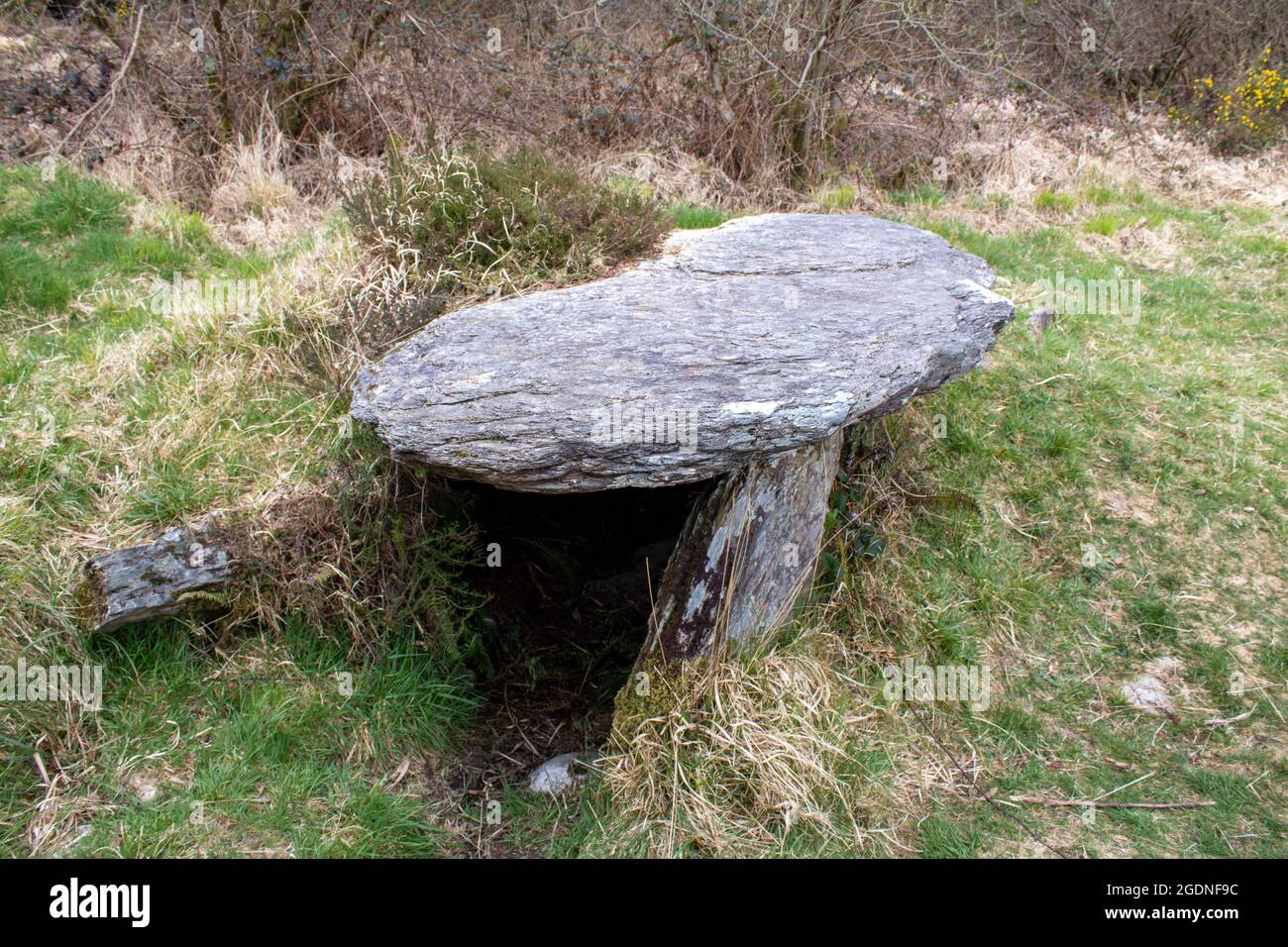 Irish wedge tomb, stone age monuments found in Ireland. The bronze age ...