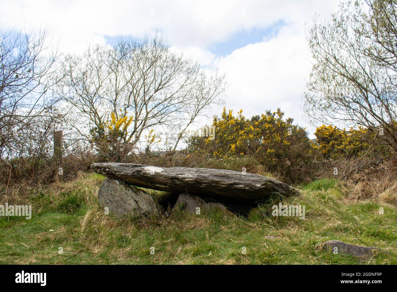 Irish wedge tomb, stone age monuments found in Ireland. The bronze age ...