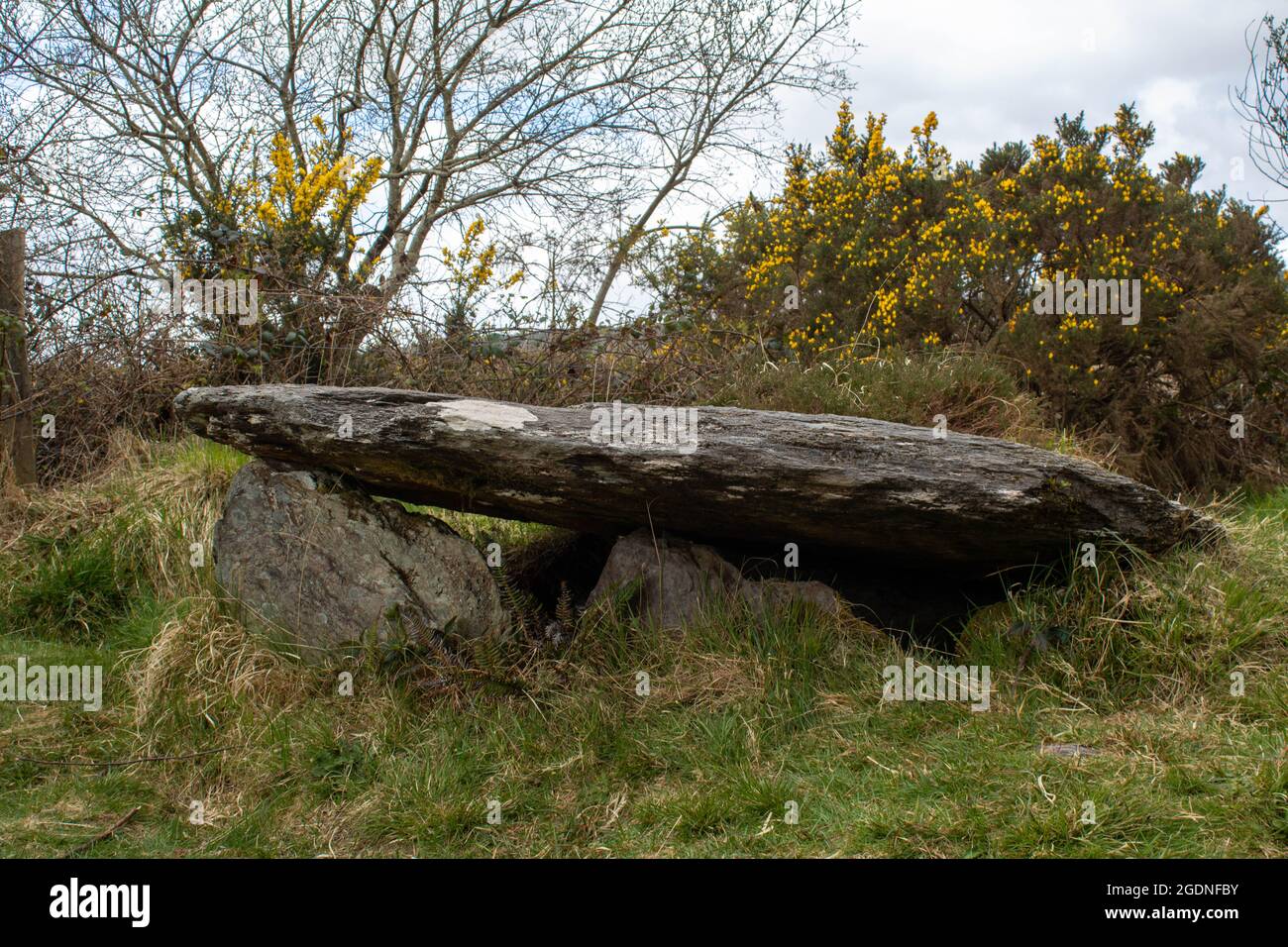 Irish wedge tomb, stone age monuments found in Ireland. The bronze age ...