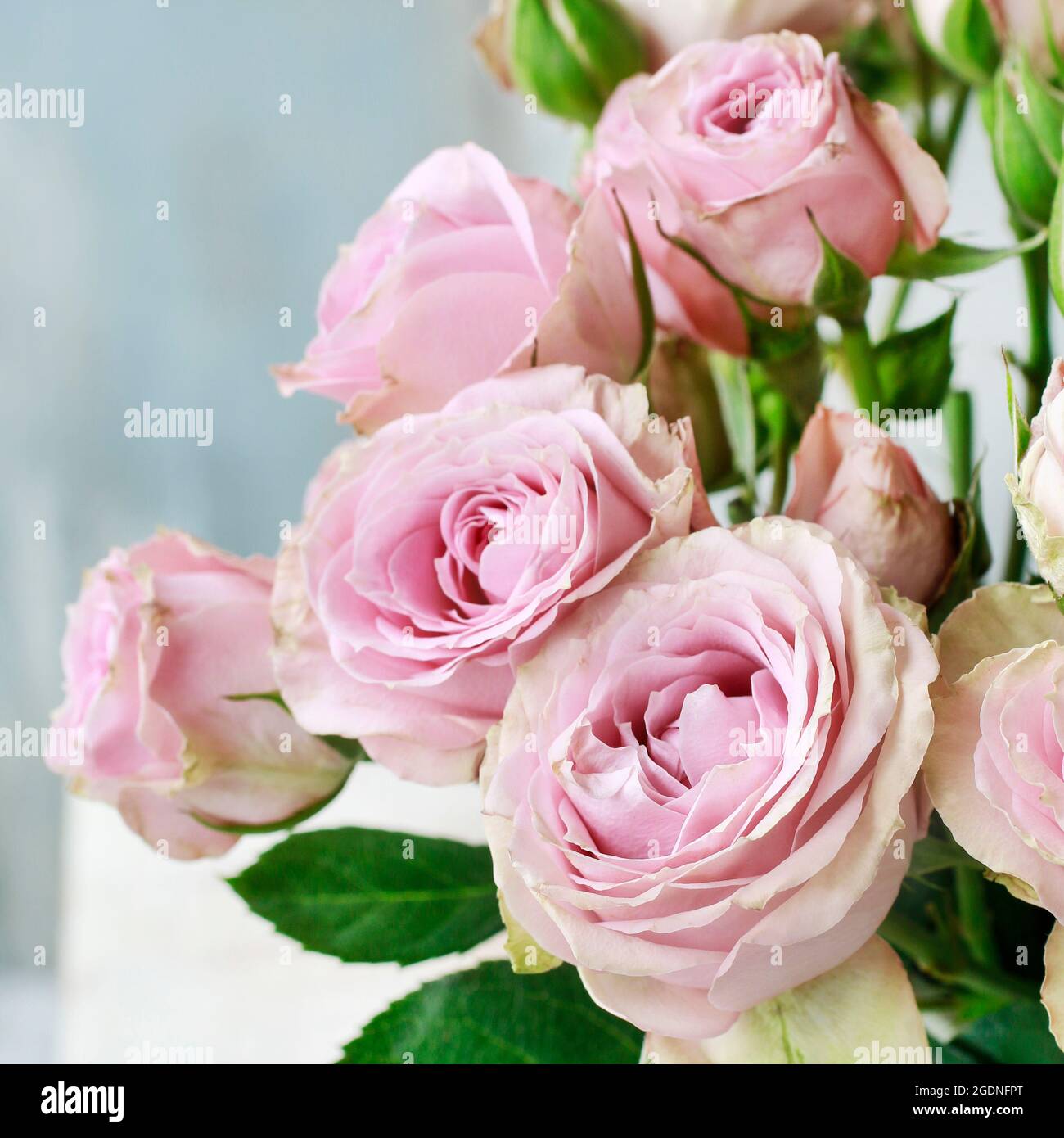 Bouquet of pink roses. Party decor Stock Photo - Alamy