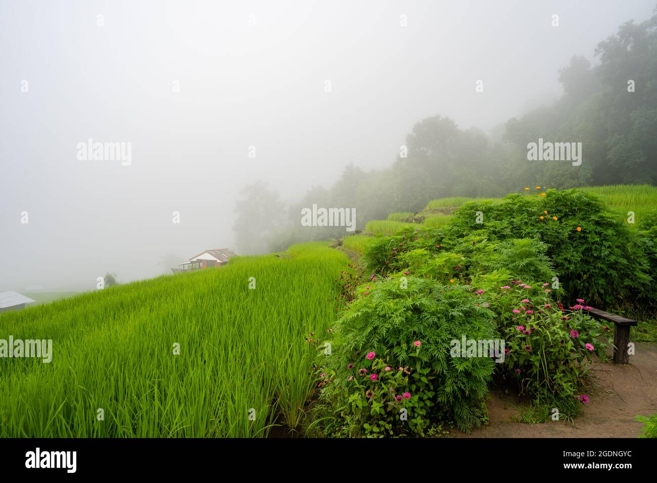 Shot of a beautiful, spring nature view taken from the hill in the ...