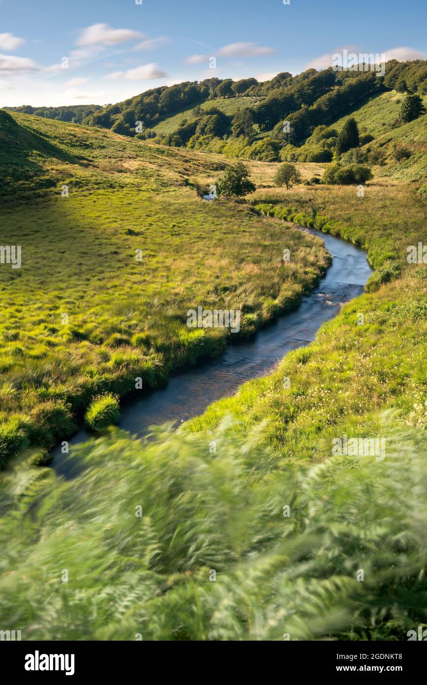 Barle valley simonsbath hi-res stock photography and images - Alamy