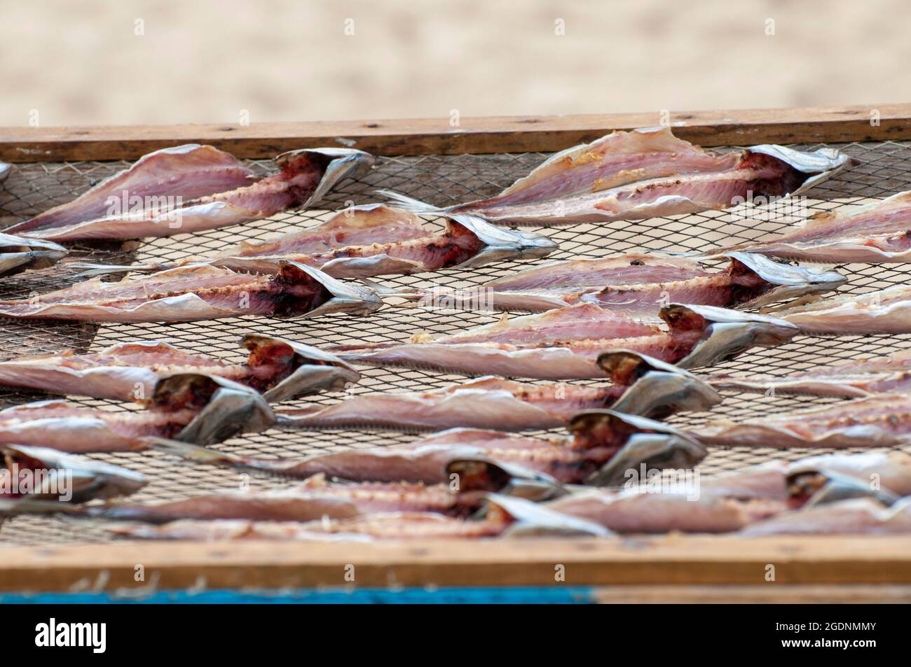 In order to preserve the fish Portuguese Fishermen dry the fish in the ...