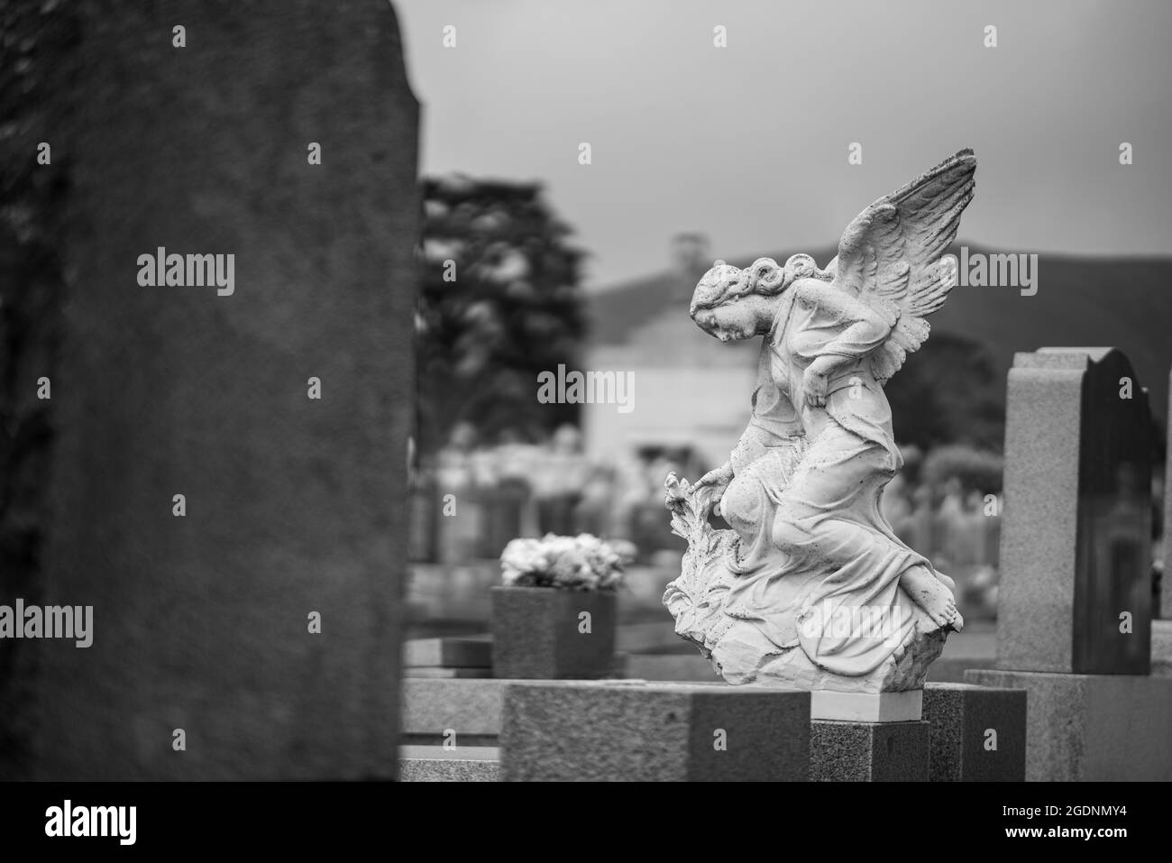 Italian Cemetery, Colma, California Stock Photo - Alamy