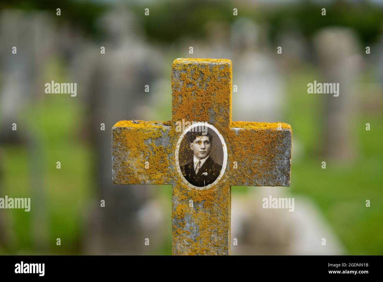 Italian Cemetery, Colma, California Stock Photo - Alamy