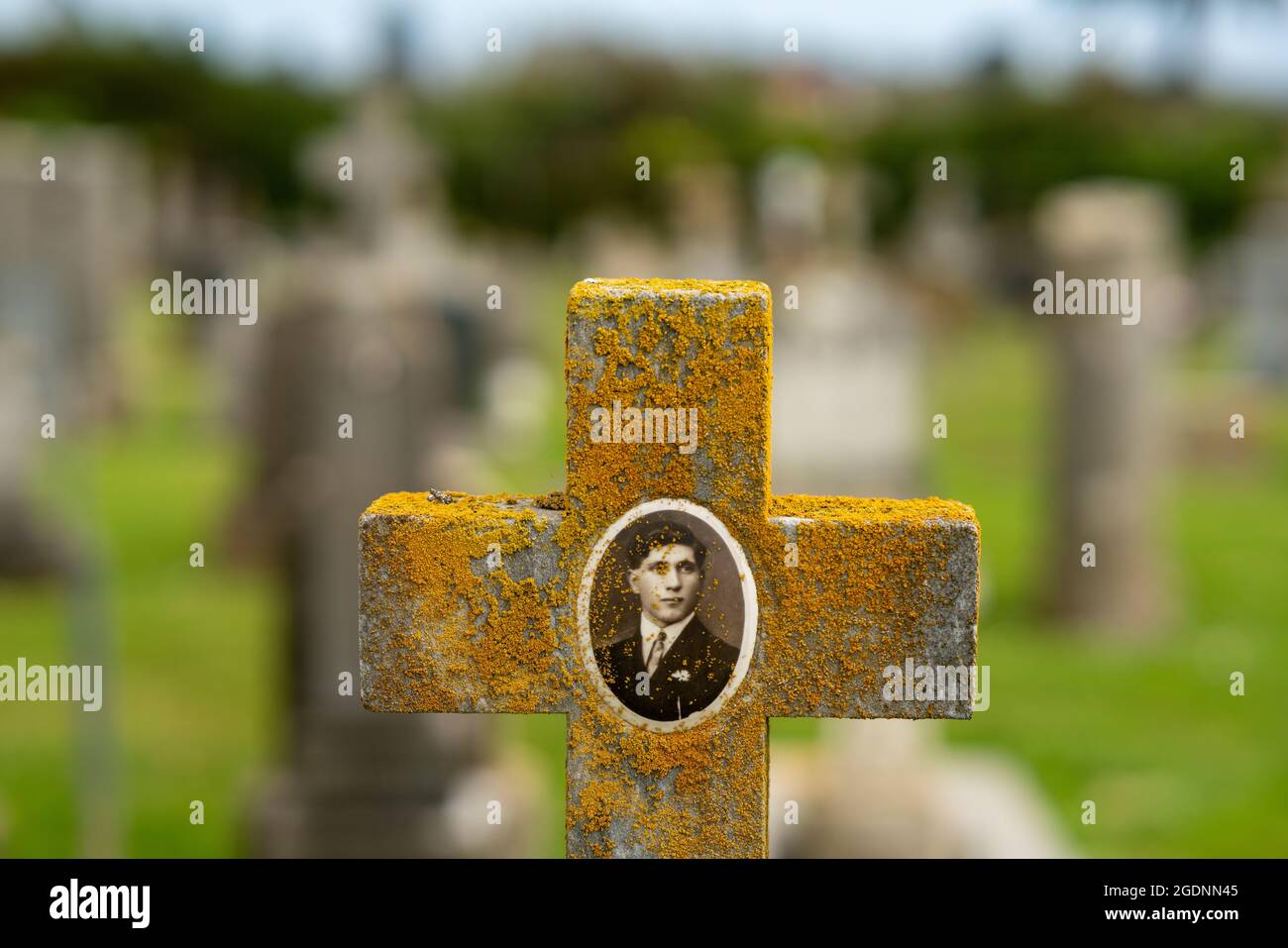 Italian Cemetery, Colma, California Stock Photo - Alamy