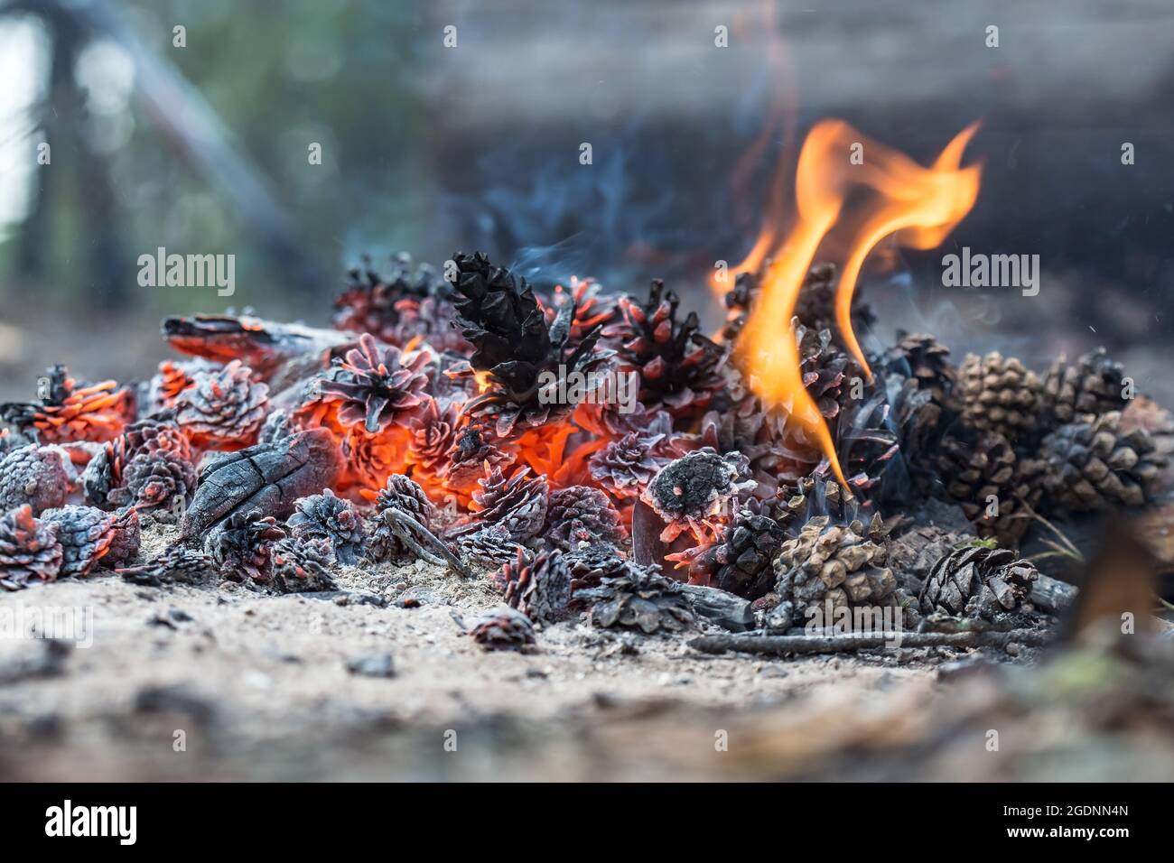 Smoldering campfire hi-res stock photography and images - Alamy