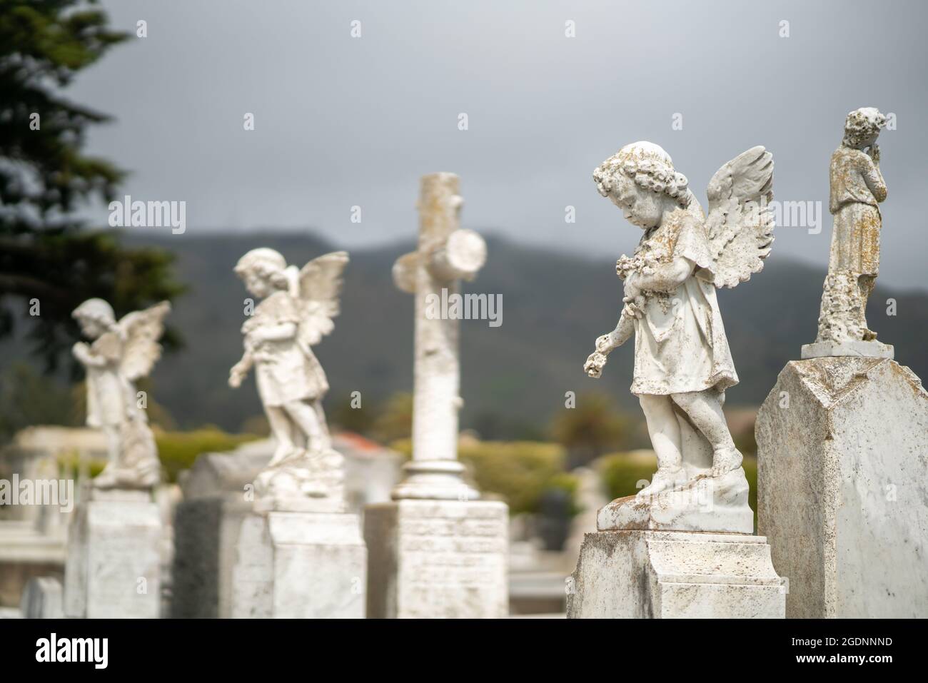 Italian Cemetery, Colma, California Stock Photo - Alamy
