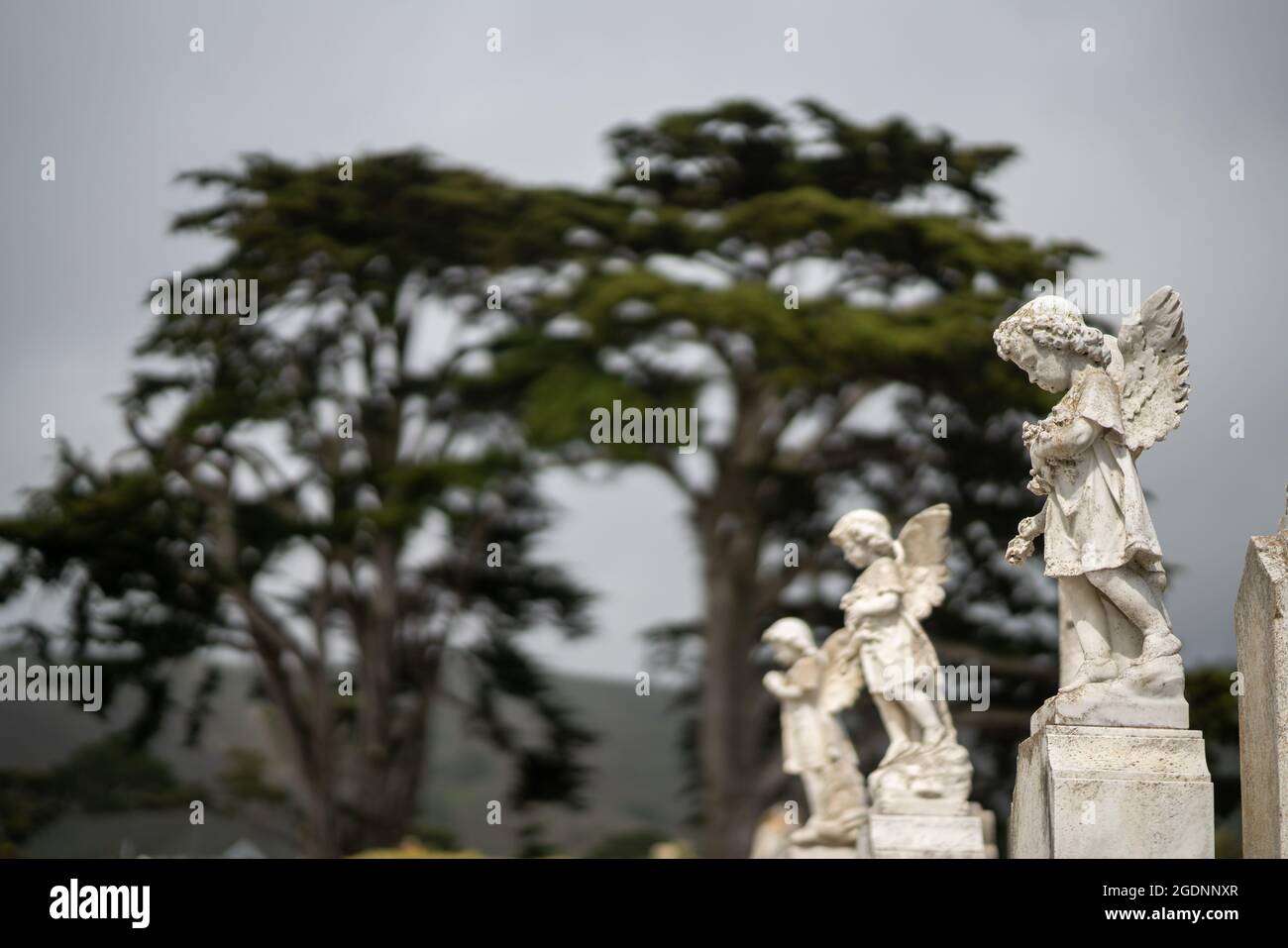 Italian Cemetery, Colma, California Stock Photo - Alamy