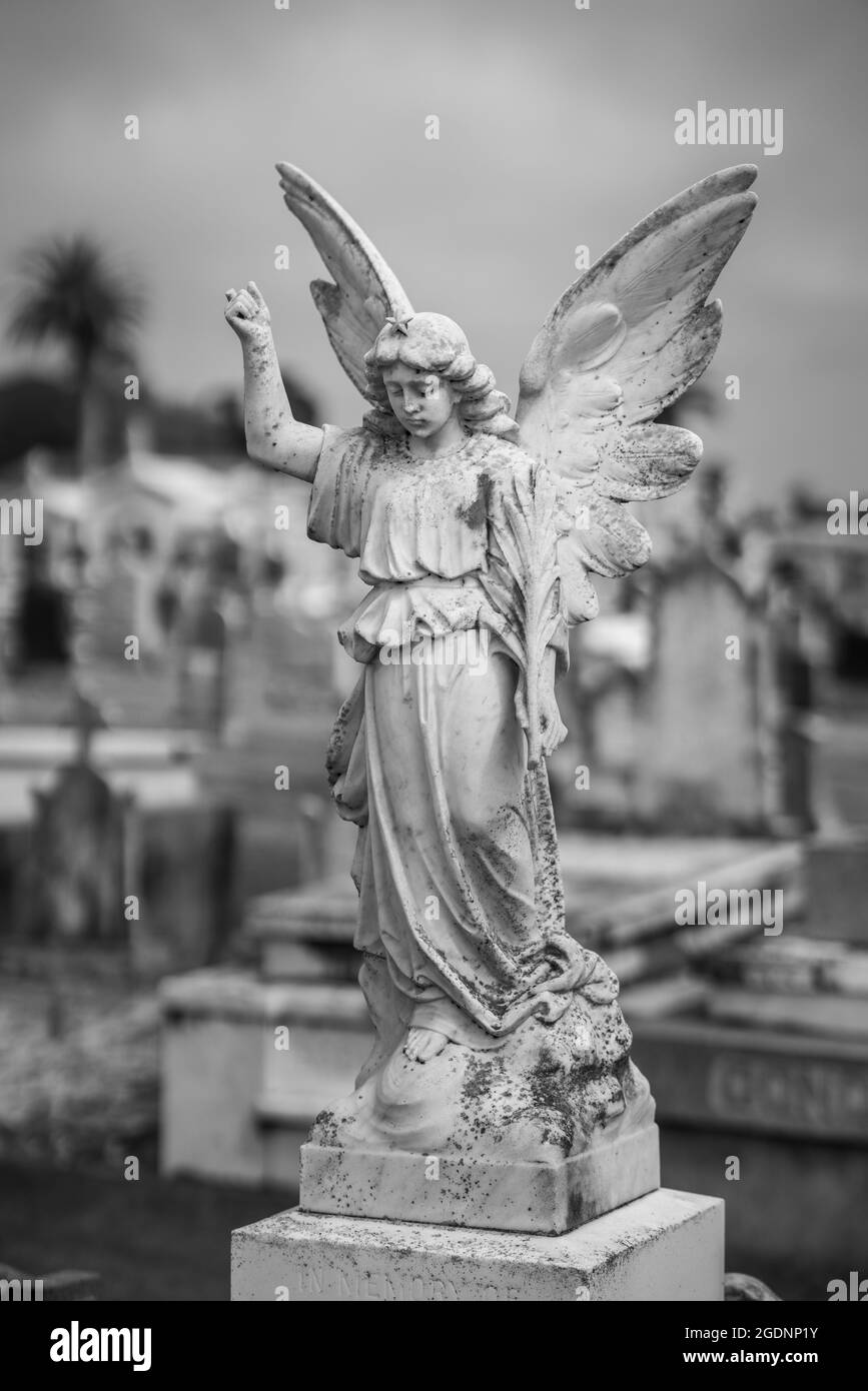 Italian Cemetery, Colma, California Stock Photo - Alamy