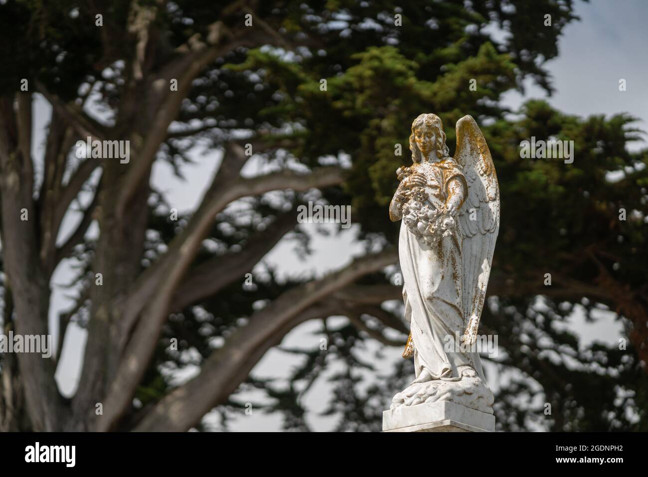Italian Cemetery, Colma, California Stock Photo - Alamy