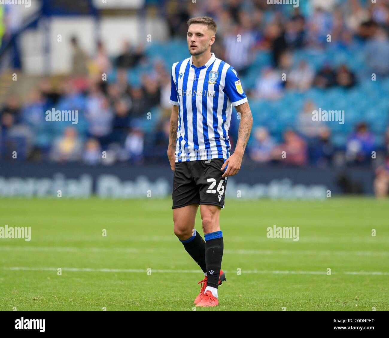 Lewis Wing #26 of Sheffield Wednesday in action during the game Stock ...
