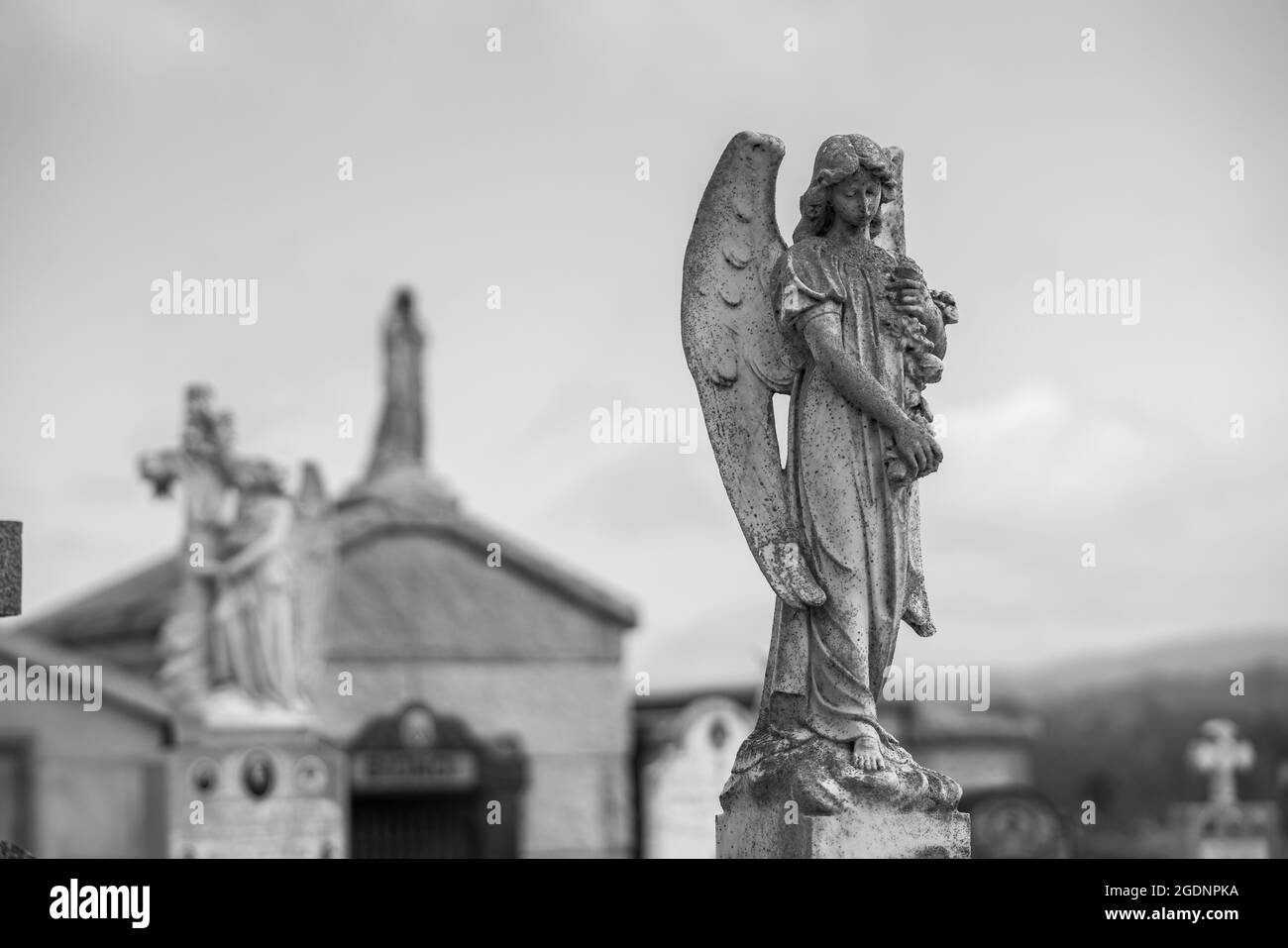 Italian Cemetery, Colma, California Stock Photo - Alamy