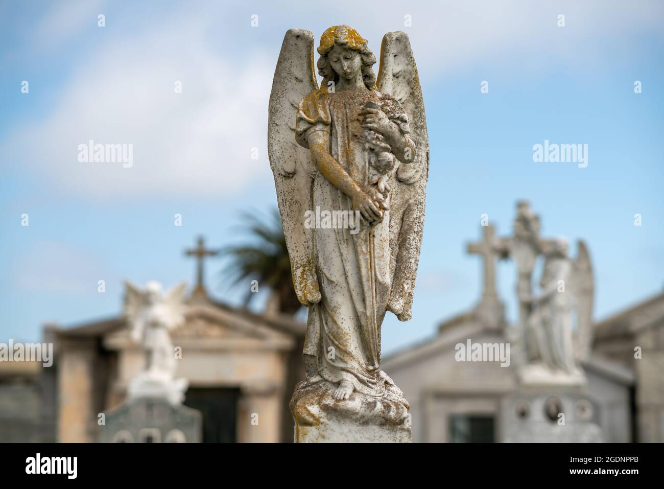 Italian Cemetery, Colma, California Stock Photo - Alamy