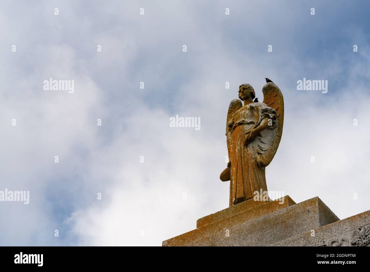 Italian Cemetery, Colma, California Stock Photo - Alamy