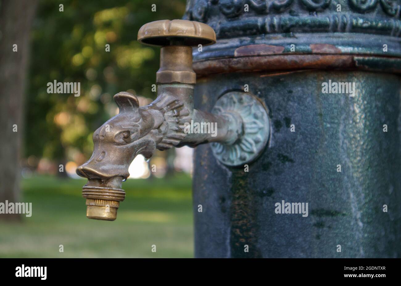 Outdoor faucet side view hi-res stock photography and images - Alamy