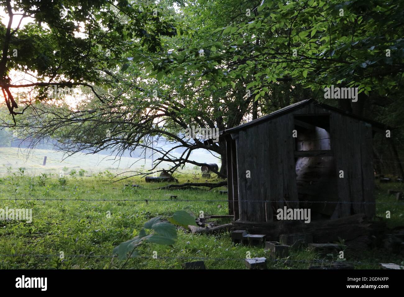 Shack In A Field High Resolution Stock Photography and Images - Alamy