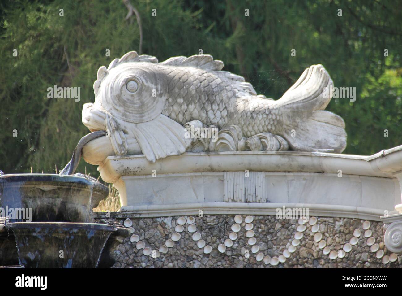 Shell gallery hi-res stock photography and images - Alamy