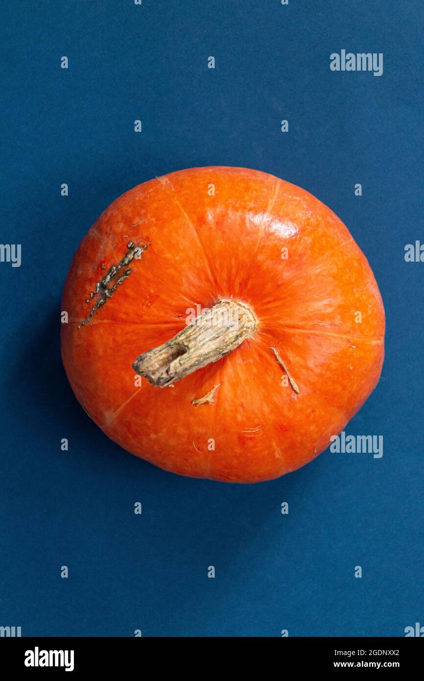 orange pumpkin isolated on brown background, empty space for text Stock ...