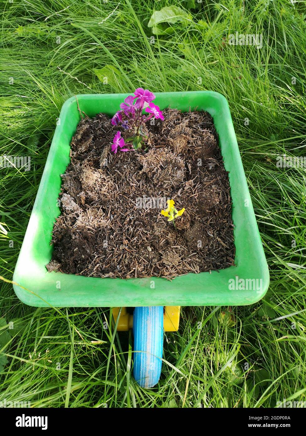 Children playing with bagger full with soil and flowers Stock Photo - Alamy