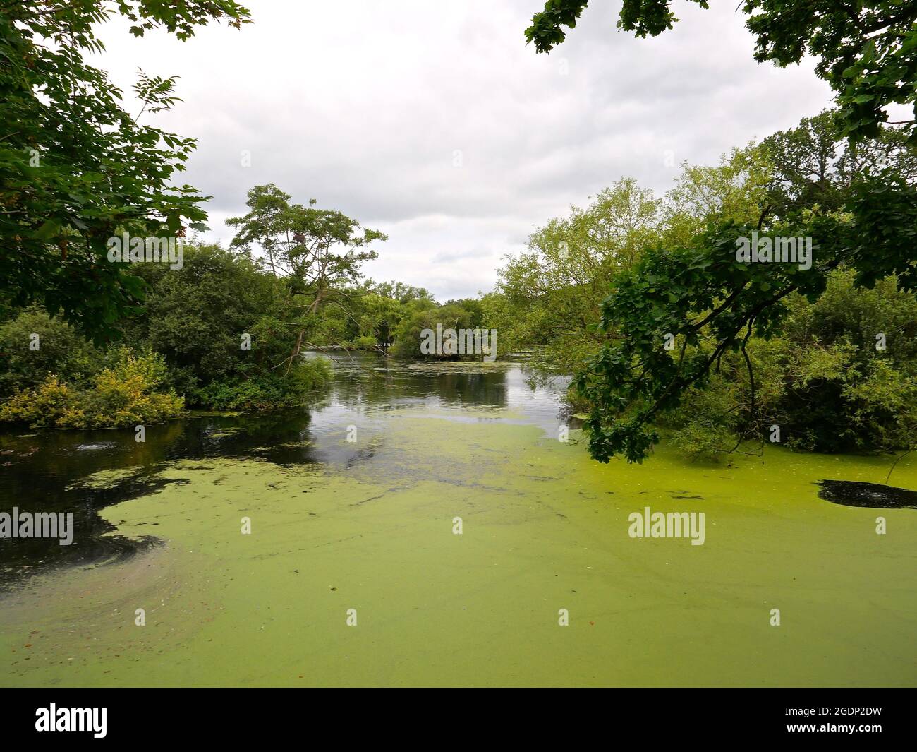 Iver bus hi-res stock photography and images - Alamy