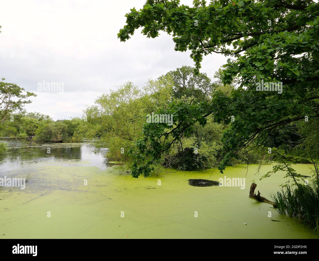 1930s britain map hi-res stock photography and images - Alamy