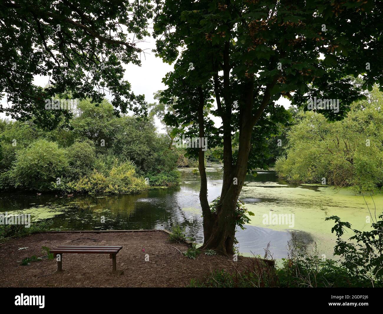 An attractive lake, with the rivers Colne and Frays running alongside ...