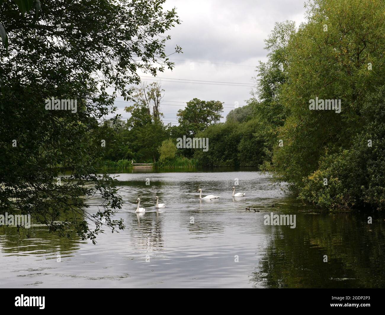An attractive lake, with the rivers Colne and Frays running alongside ...