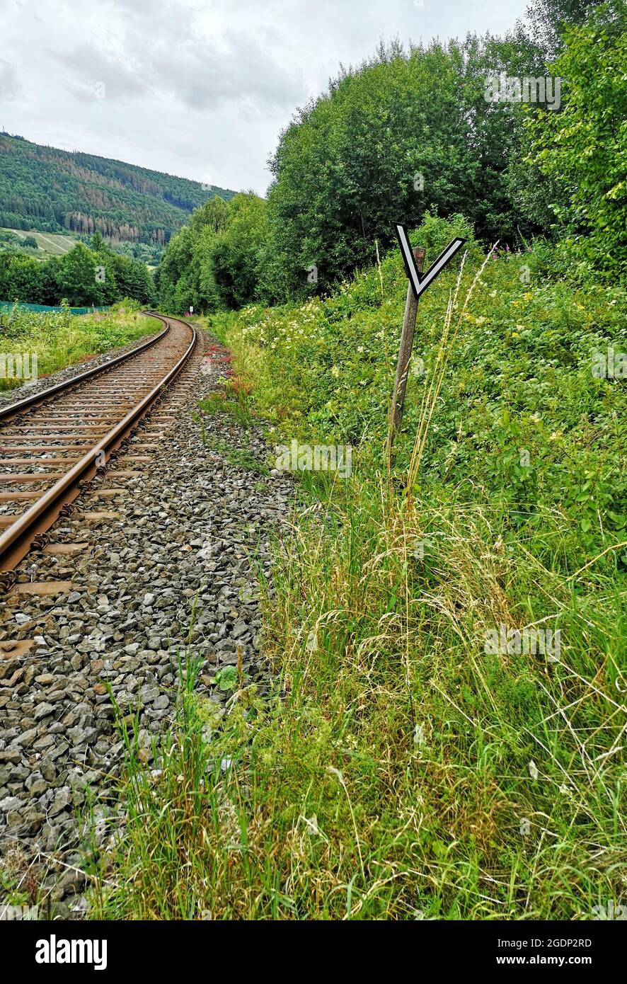 Train trails with the forest surrounding Stock Photo - Alamy