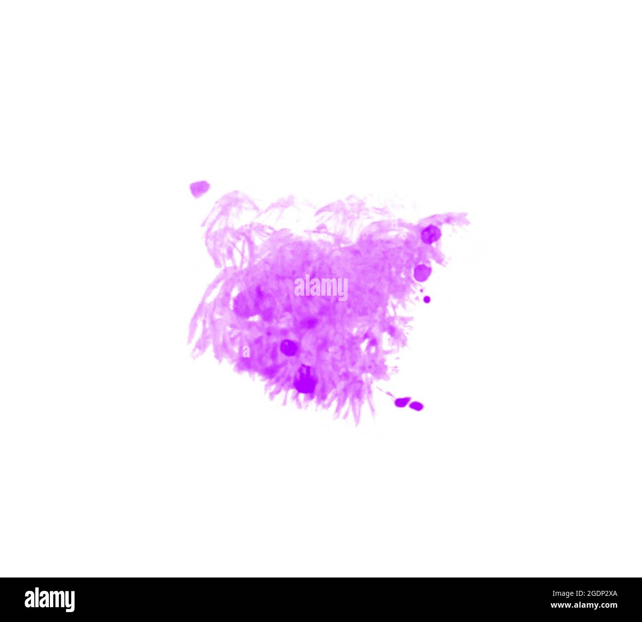 Watercolor grunge texture. Isolated smear brush for painting. Beautiful ...