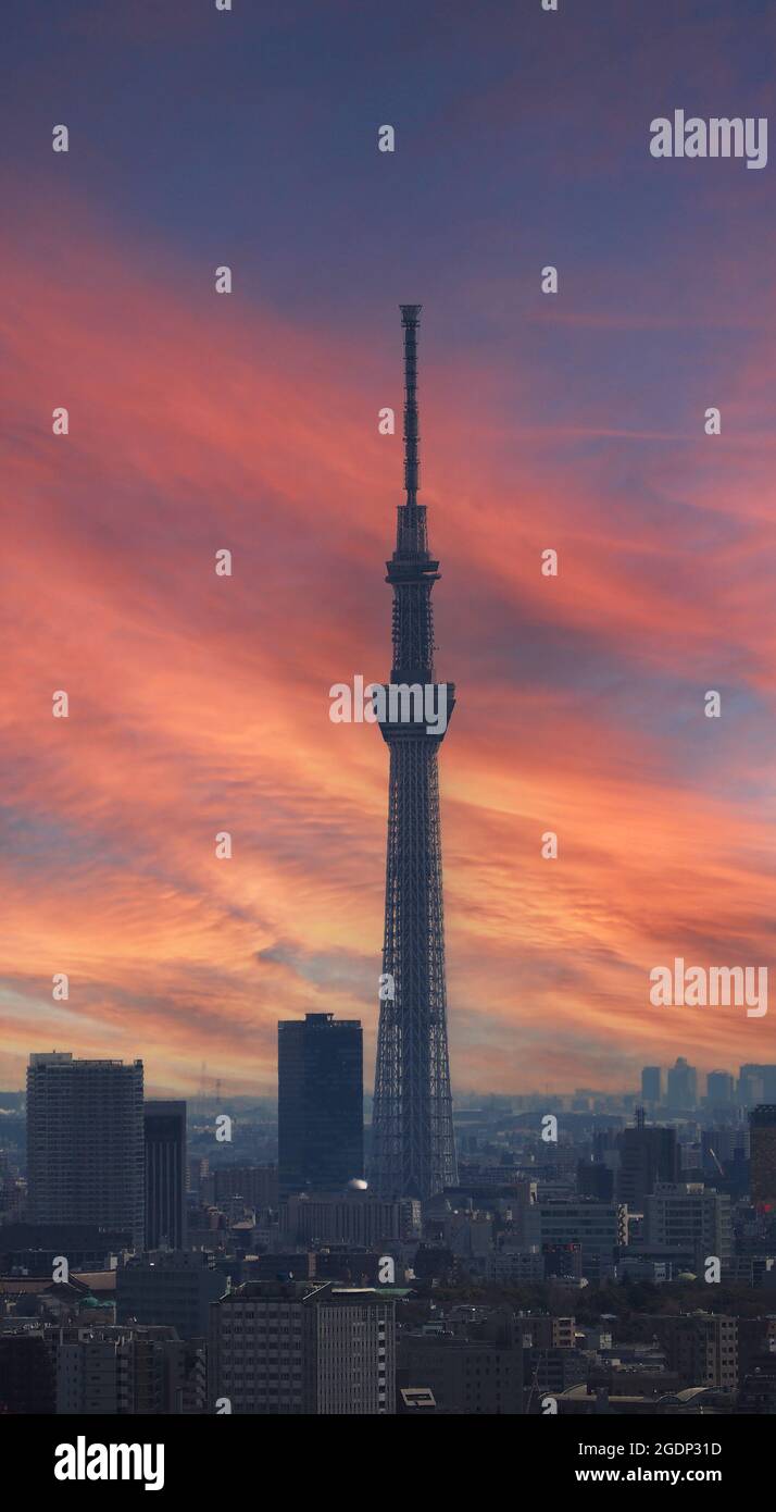 Tokyo city and Tokyo Sky tree tower. Aerial view of tokyo city with ...