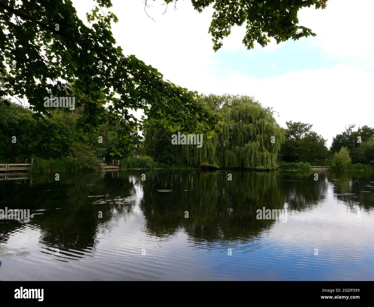 An attractive lake, with the rivers Colne and Frays running alongside ...
