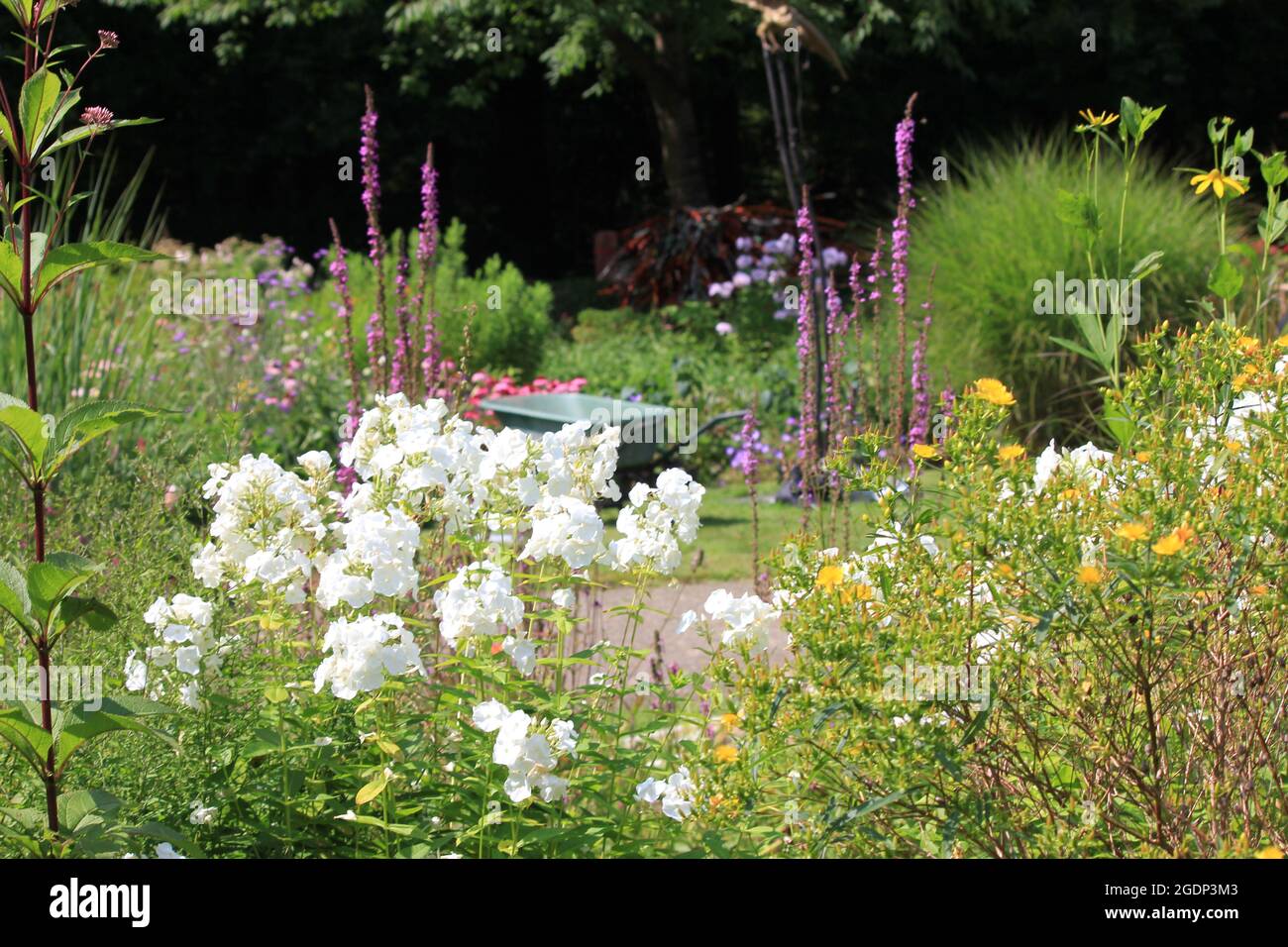 The hortus nijmegen hi-res stock photography and images - Alamy
