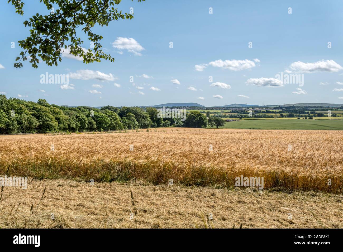 Pentland hills hi-res stock photography and images - Alamy