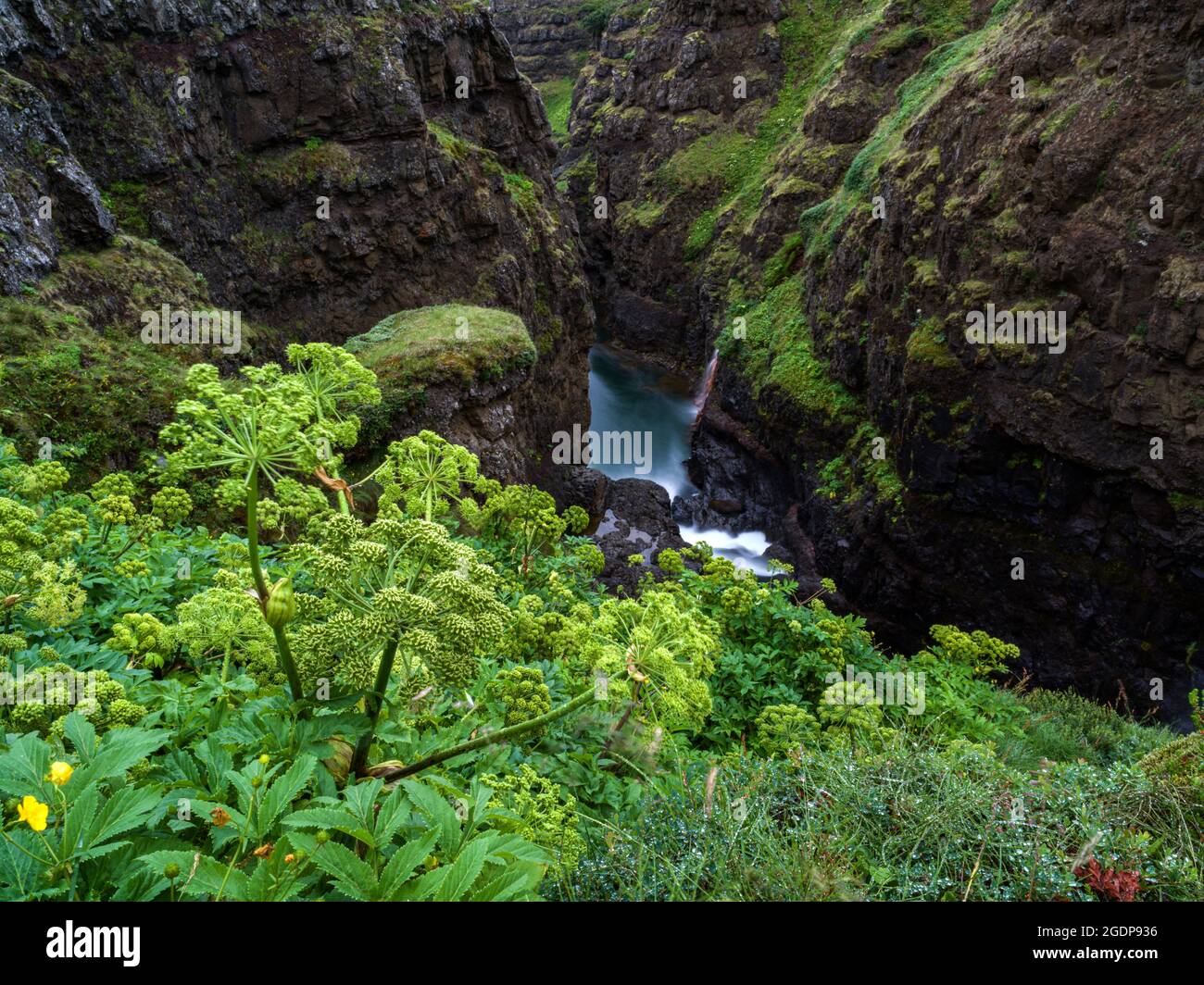 Djupavik waterfall hi-res stock photography and images - Alamy