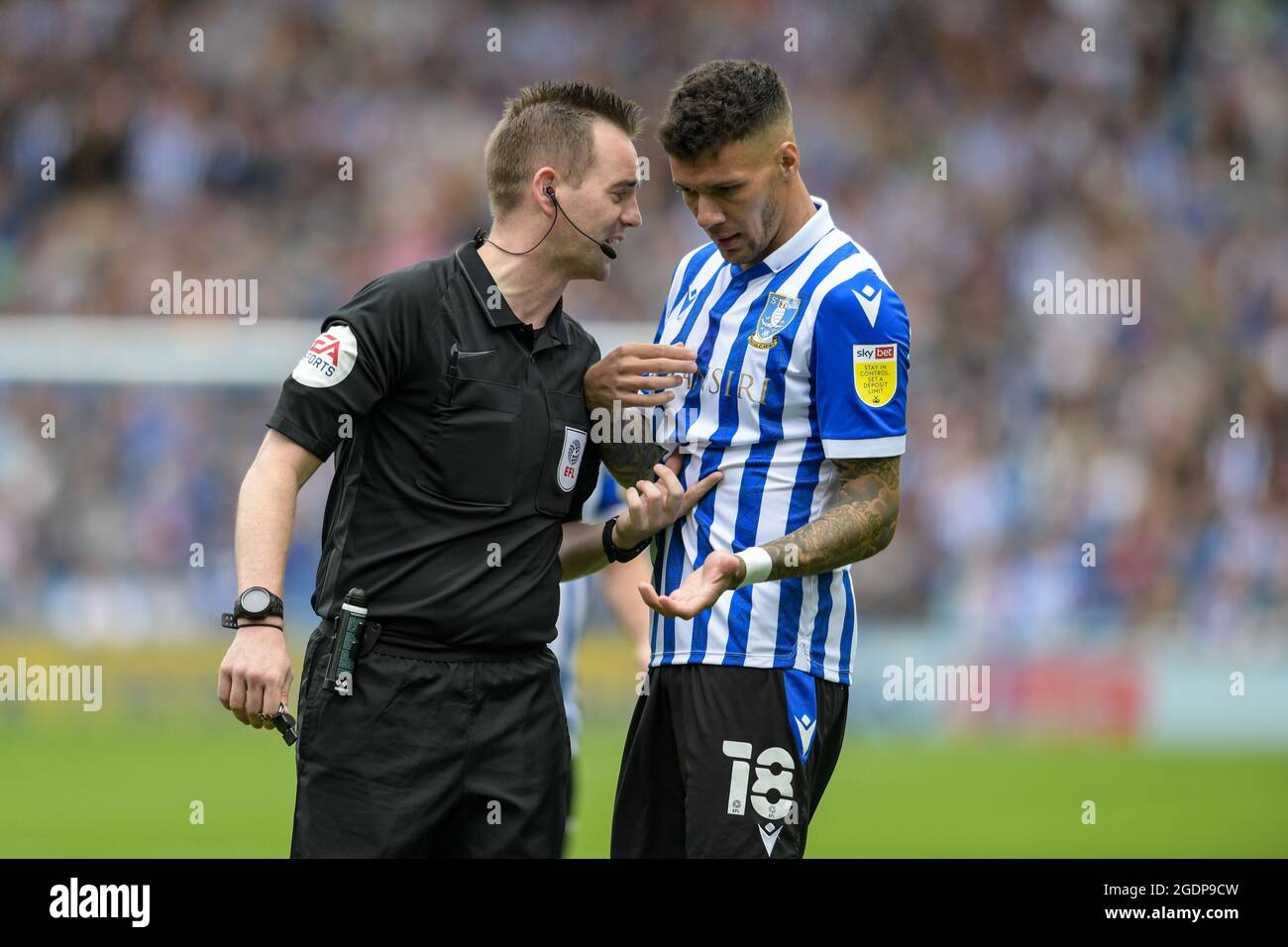 Referee Ross Joyce speaks to Marvin Johnson #18 of Sheffield Wednesday ...