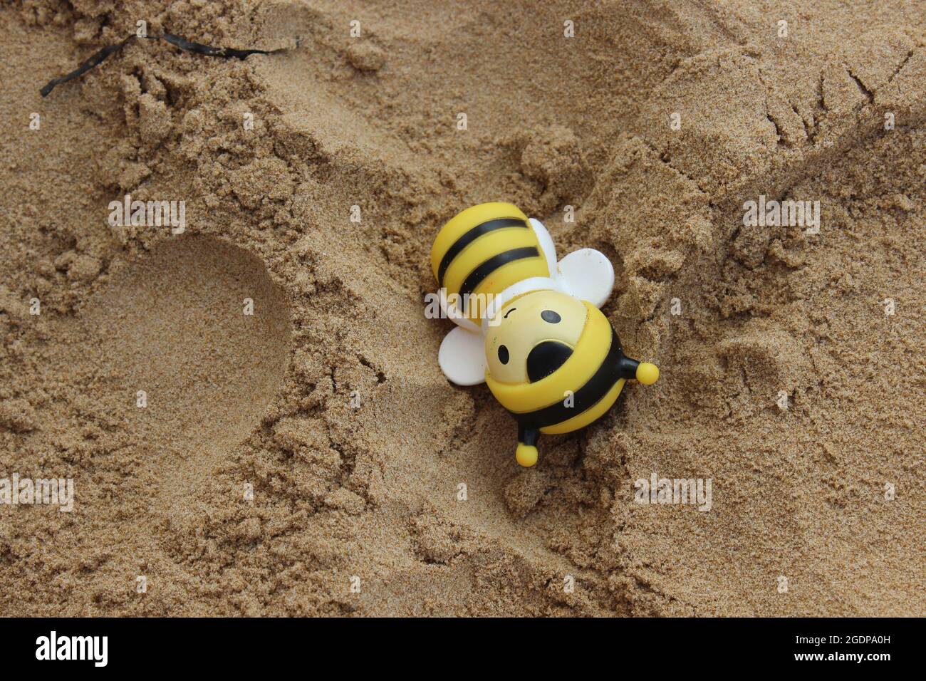 Toy bee in the sand Stock Photo - Alamy