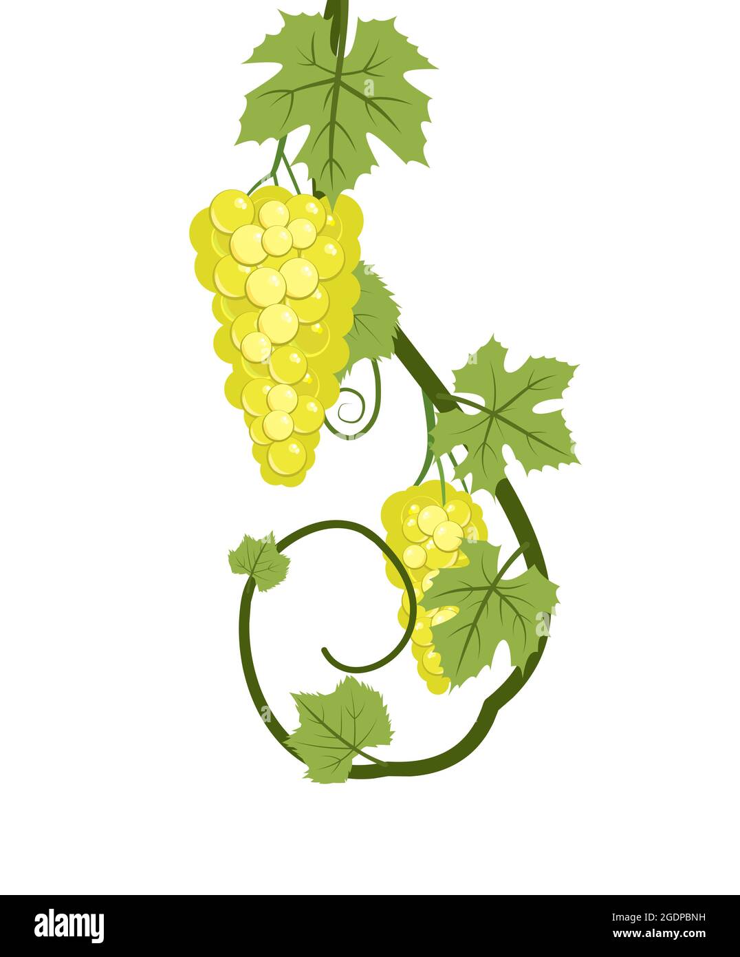 Yellow wild plant Stock Vector Images - Alamy