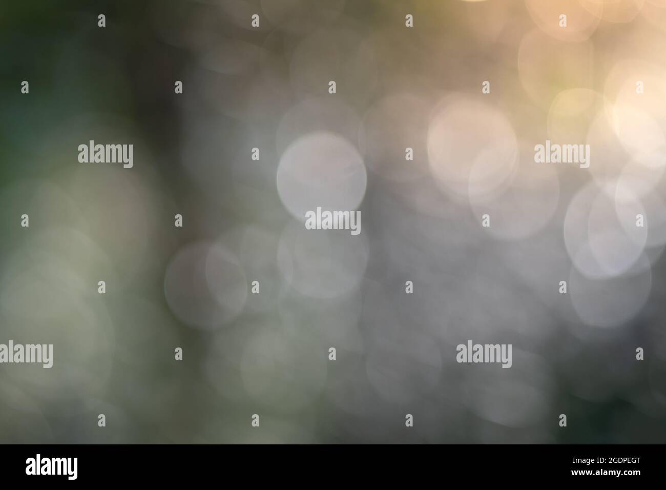 Abstract background with fading bokeh lights Stock Photo - Alamy