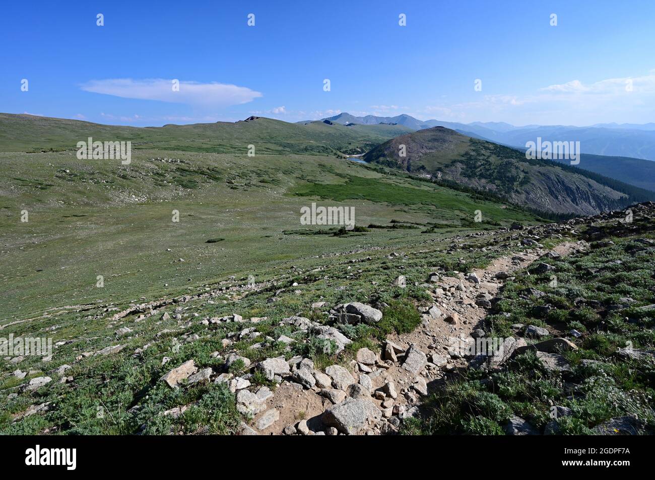 Alpine tundra above tree line on High Lonesome Trail in Indian Peaks ...