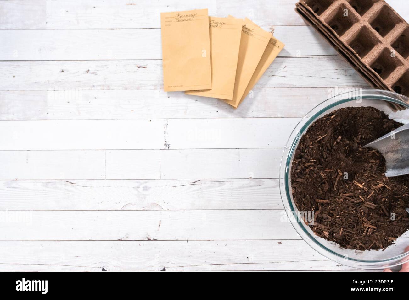 Flat lay. Planting seeds into peat moss pots to start an indoor ...