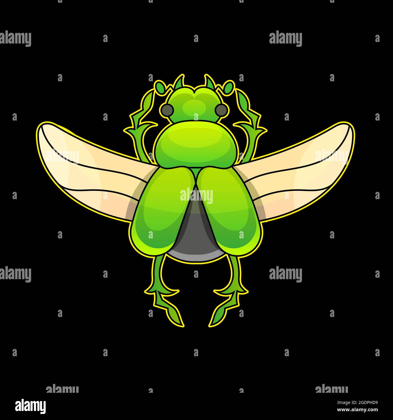 June bug beetle face Stock Vector Images - Alamy