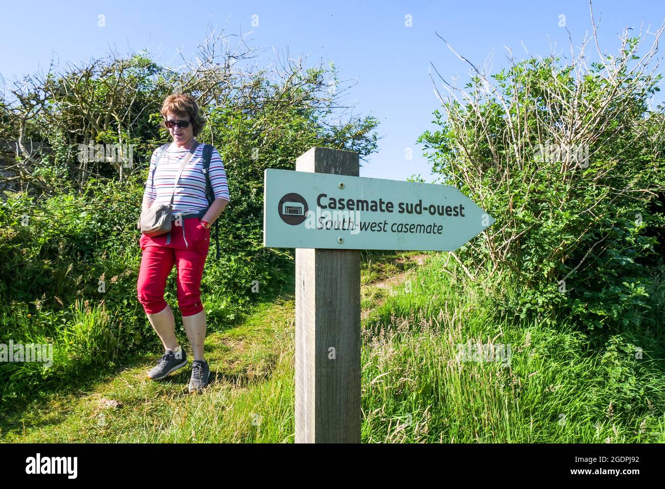 Manche department, Cotentin, Normandy Region, France Stock Photo - Alamy