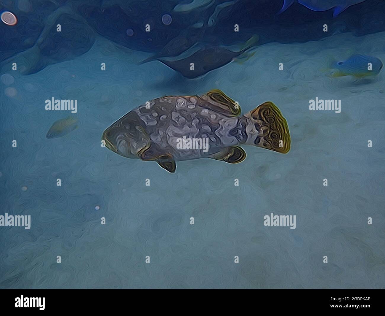 An illustration of a Grouper swimming over coral reef Stock Photo - Alamy
