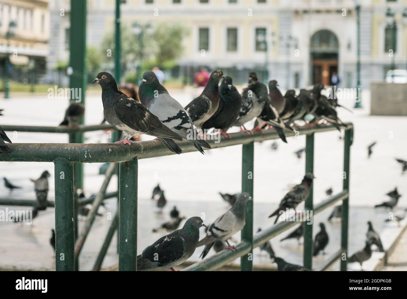 Square a lot of hi-res stock photography and images - Alamy