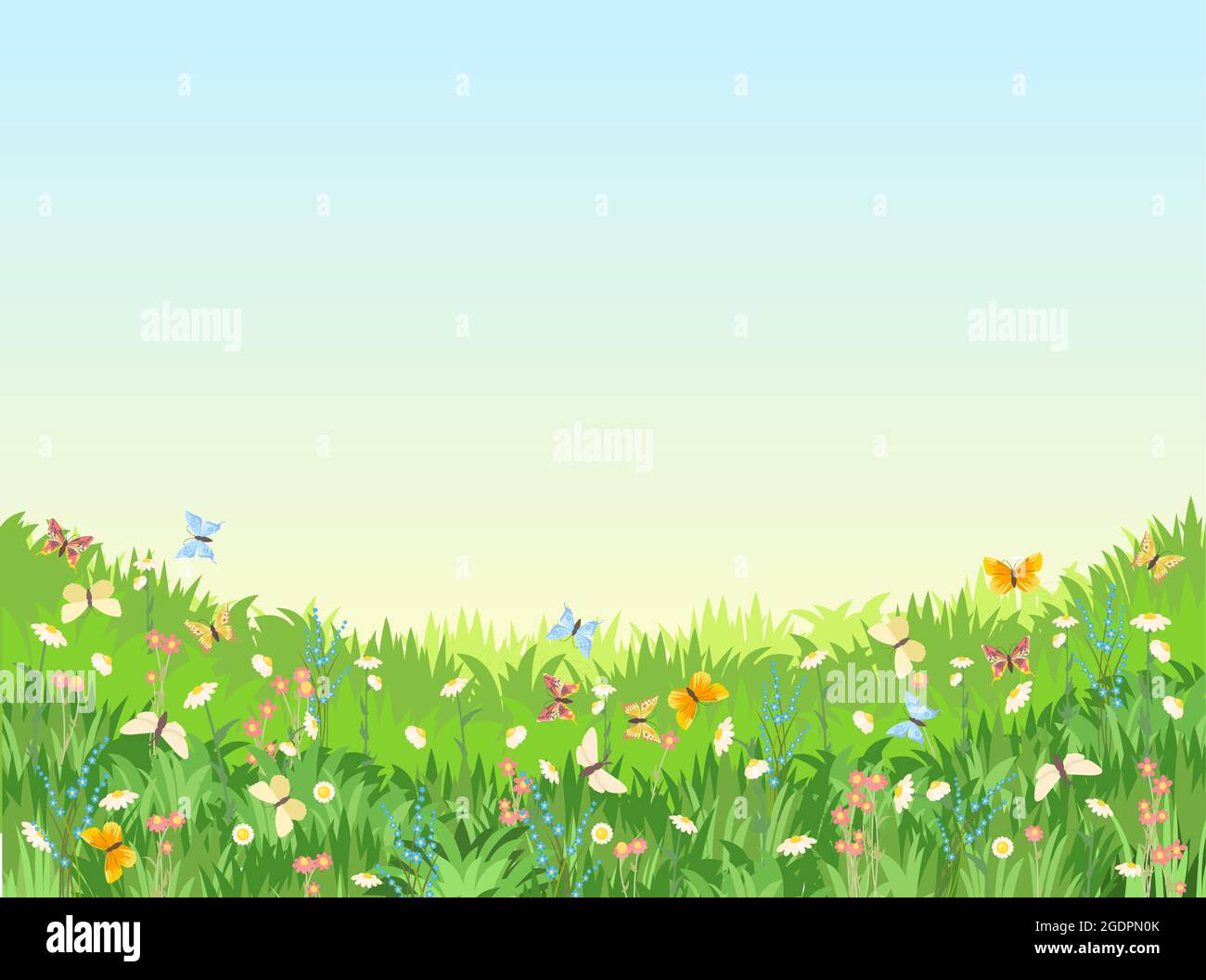 Meadow with wildflowers and butterflies. Grass close-up. Beautiful ...
