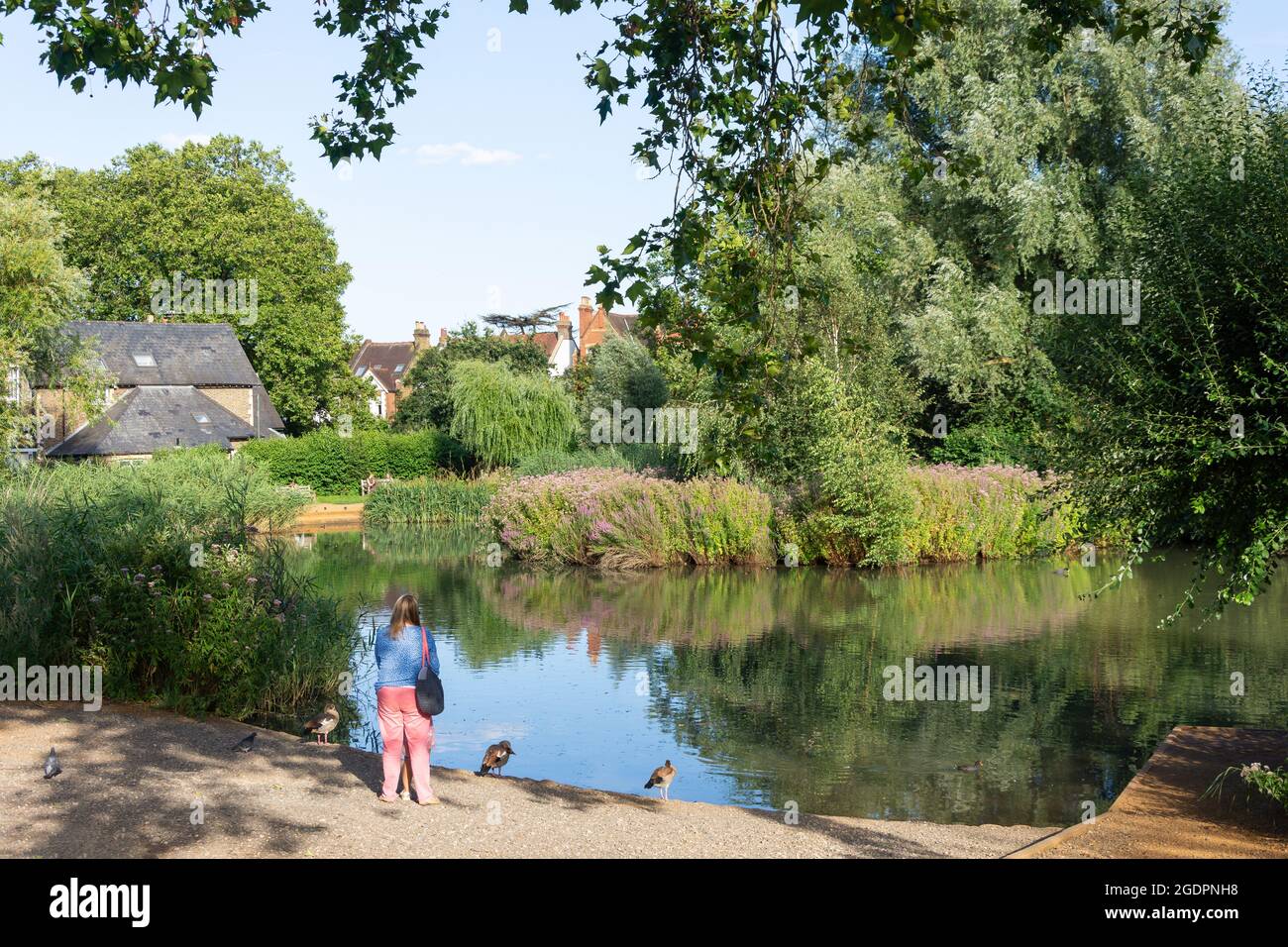 Barnes pond hi-res stock photography and images - Alamy
