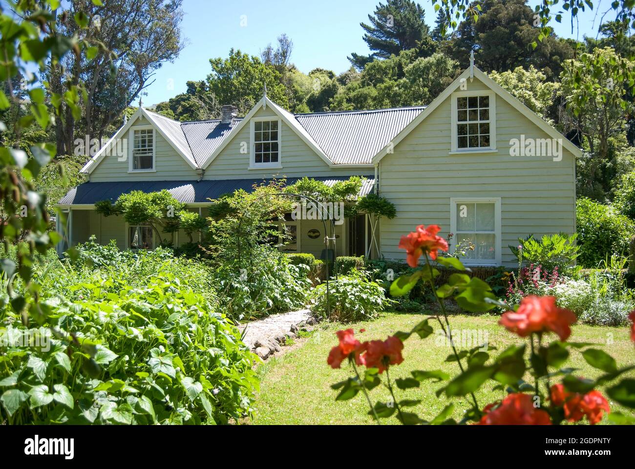 Old colonial homestead, Pigeon Bay, Banks Peninsula, Canterbury, New ...