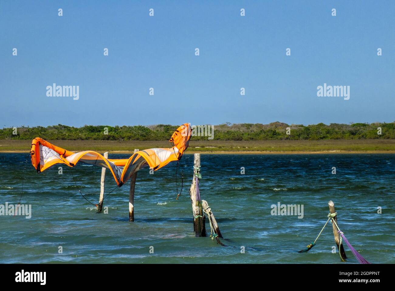 Northern kite group hi-res stock photography and images - Alamy